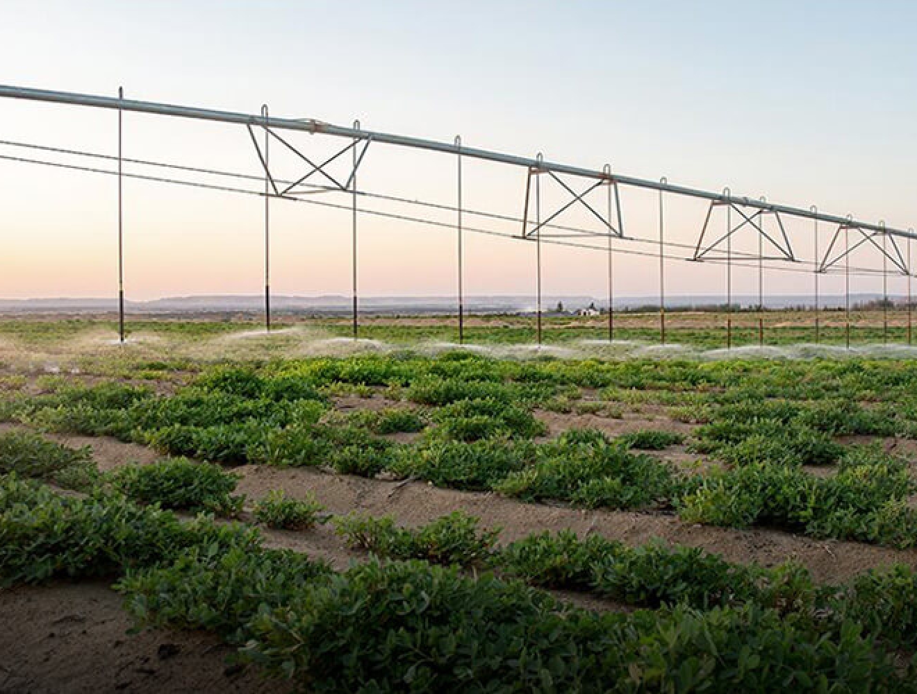 isis organic since 1977 – Your credible partner for healthy, tasty ...